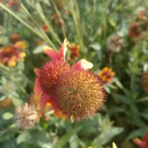 12378银保监会投诉电话打不进怎么办？实战经验分享 - 今日头条